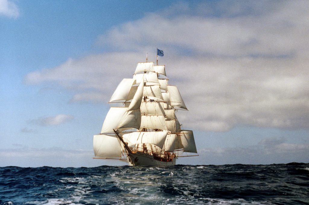 Bark Europa - Windseeker