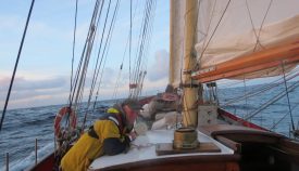 Unique sailing adventure all around the globe - Windseeker.org