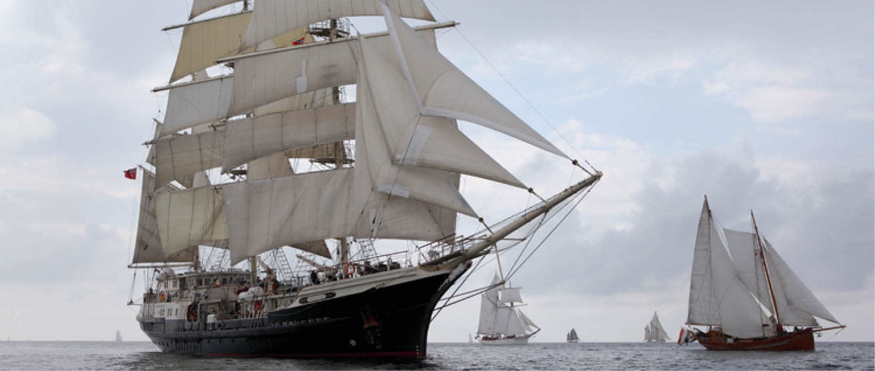 Tenacious - Windseeker