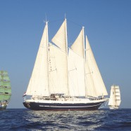 Unique sailing adventure all around the globe - Windseeker.org