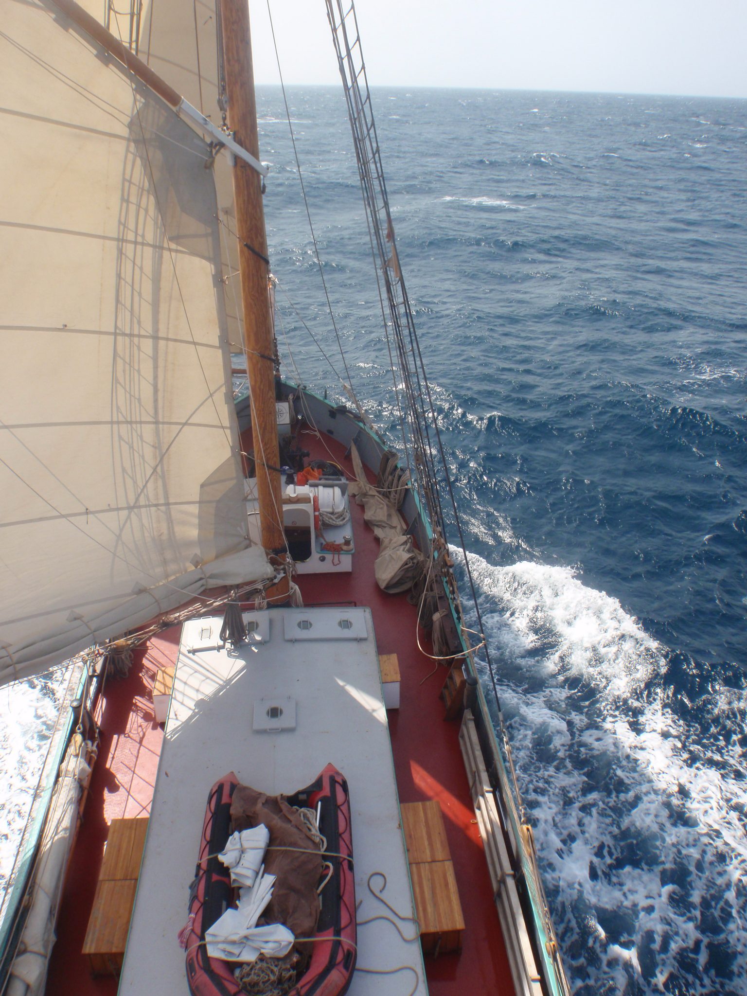 Tecla: Vannes (FR) - Falmouth (UK) | AS07828 - Windseeker