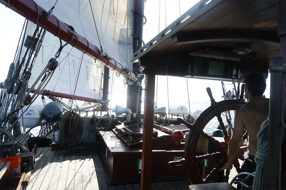 Atyla: Brixham (GB) - Plymouth (GB) | AS10207 - Windseeker