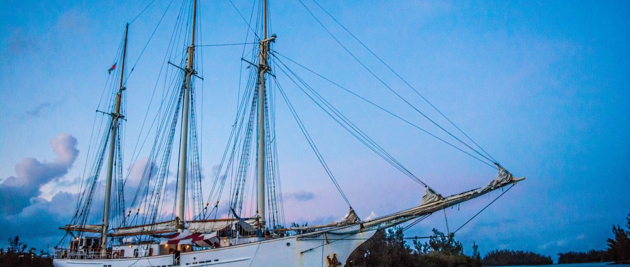 Blue Clipper - Windseeker