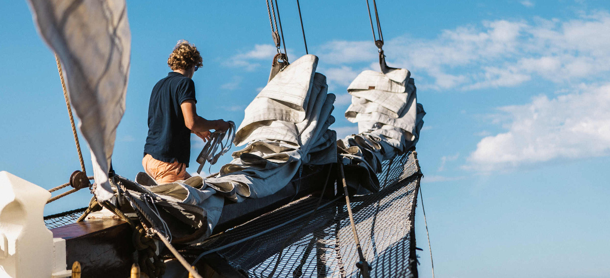 Twister - Windseeker