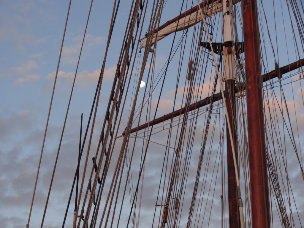 Patricia: Den Helder (NL) - Hartlepool (GB) | AS10222 - Windseeker
