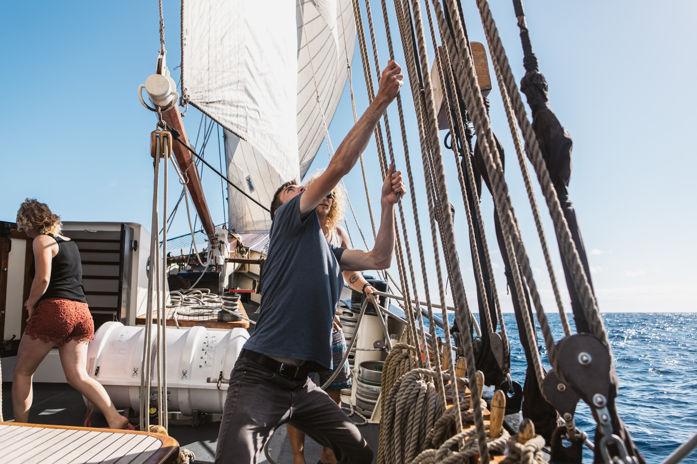 Twister: Hamilton (BM) - Horta (PT) | AS09756 - Windseeker