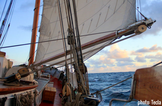 Tecla: Papeete, Tahiti (PF) - Honolulu, Hawaii (US) | AS10180 - Windseeker