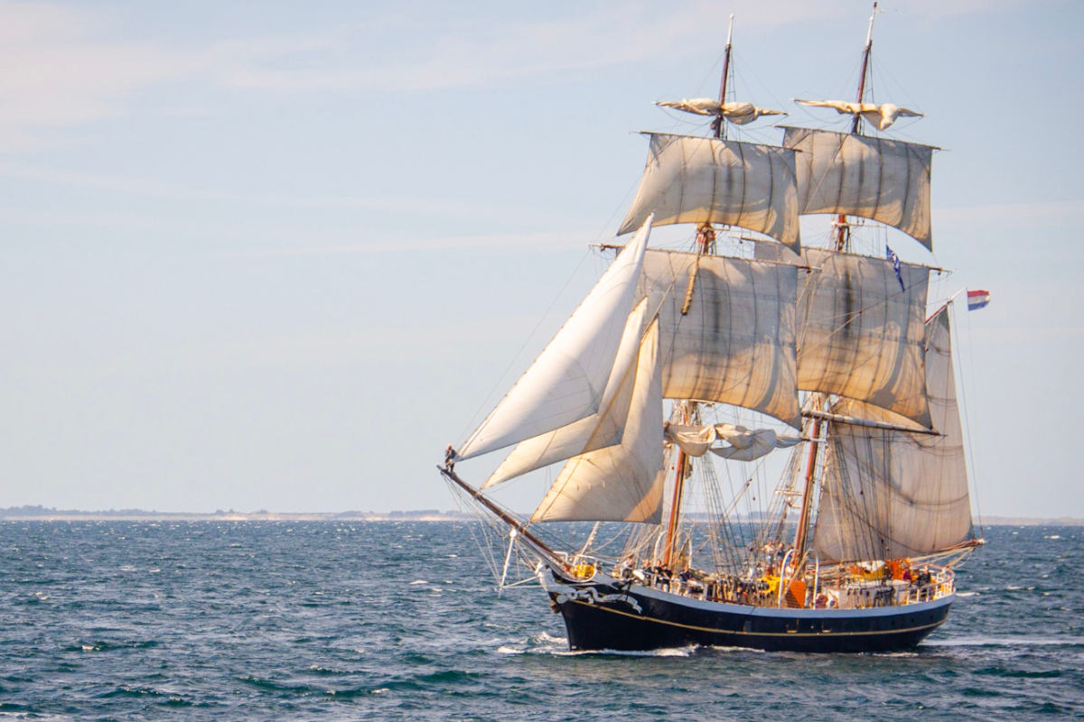 Morgenster: Palmeira (CV) - Palmeira (CV) | AS10462 - Windseeker