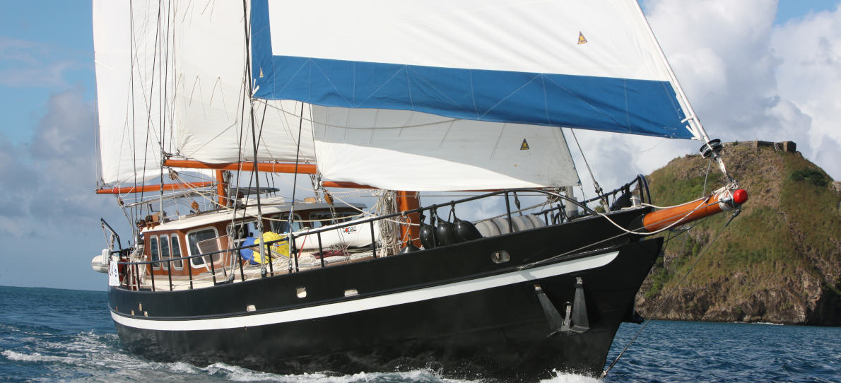 Saeftinghe - Windseeker