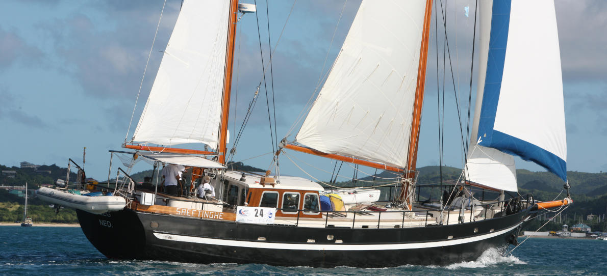 Saeftinghe - Windseeker