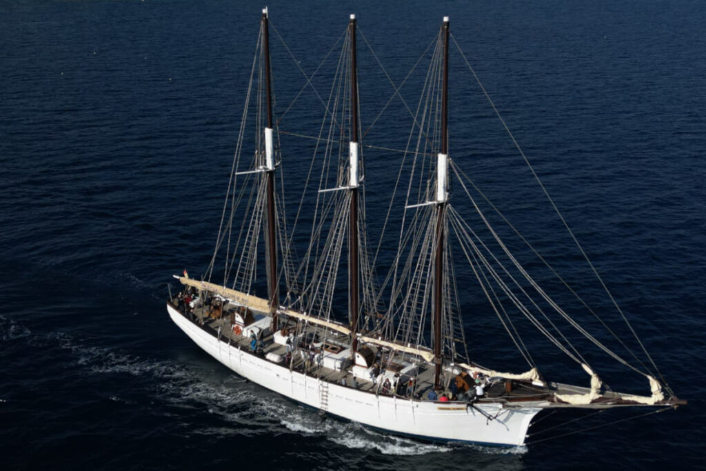 Pascual Flores - Windseeker